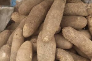 Yam prices surge across Lagos markets